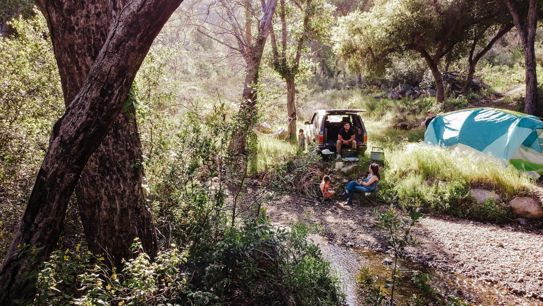 The home of RoadBlock - Spider and Ant Automotive Treatment – Autonomy Co